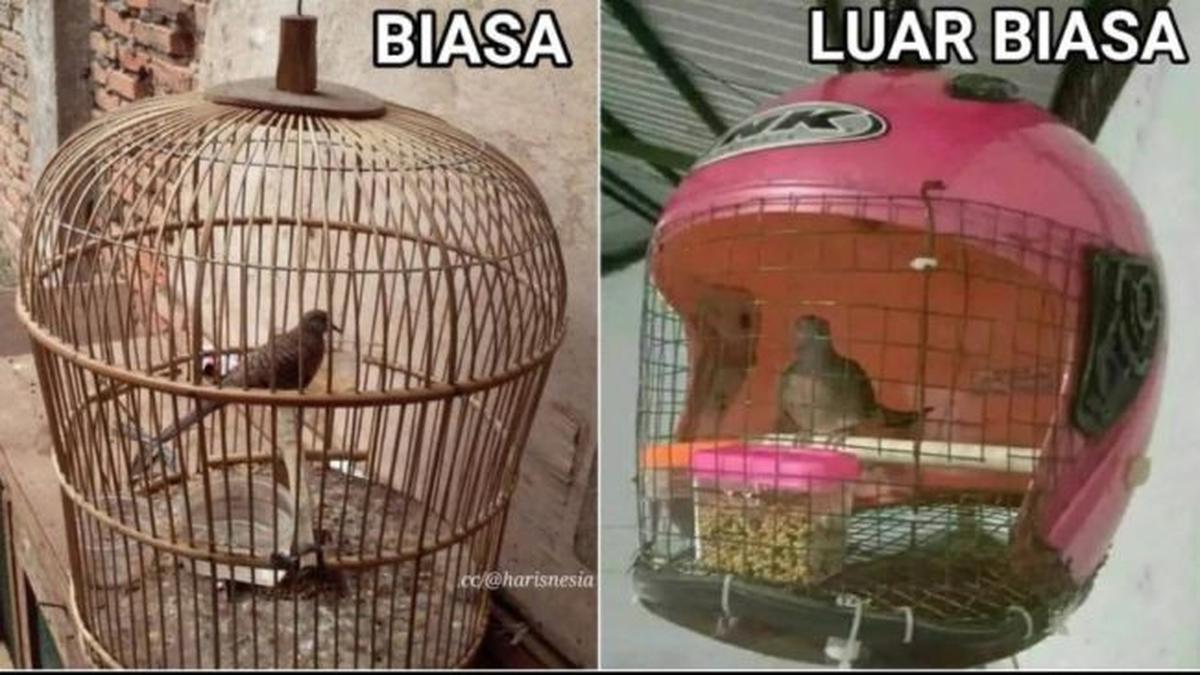 Meme Otomotif Pekan Ini: Sangkar Burung yang Luar Biasa - Otomotif ...