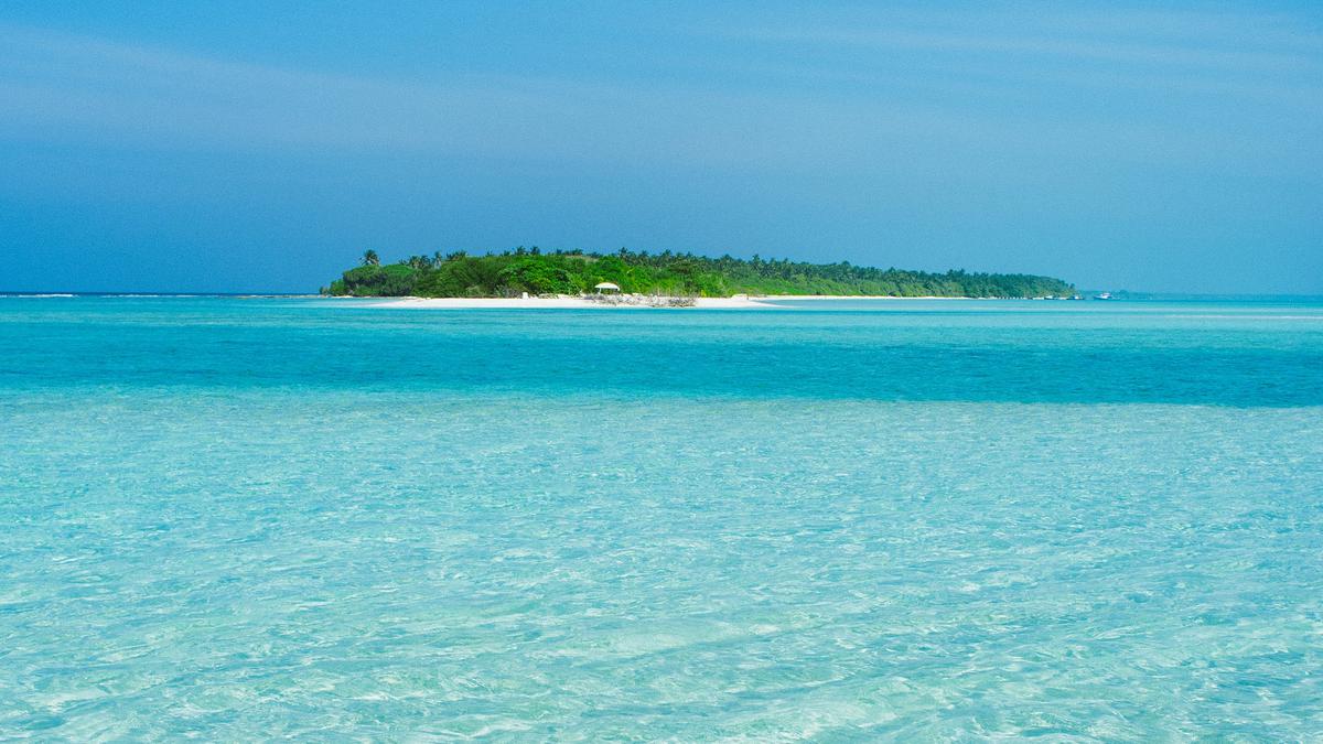 Macam-Macam Ekosistem Air Laut, Lengkap beserta Penjelasannya