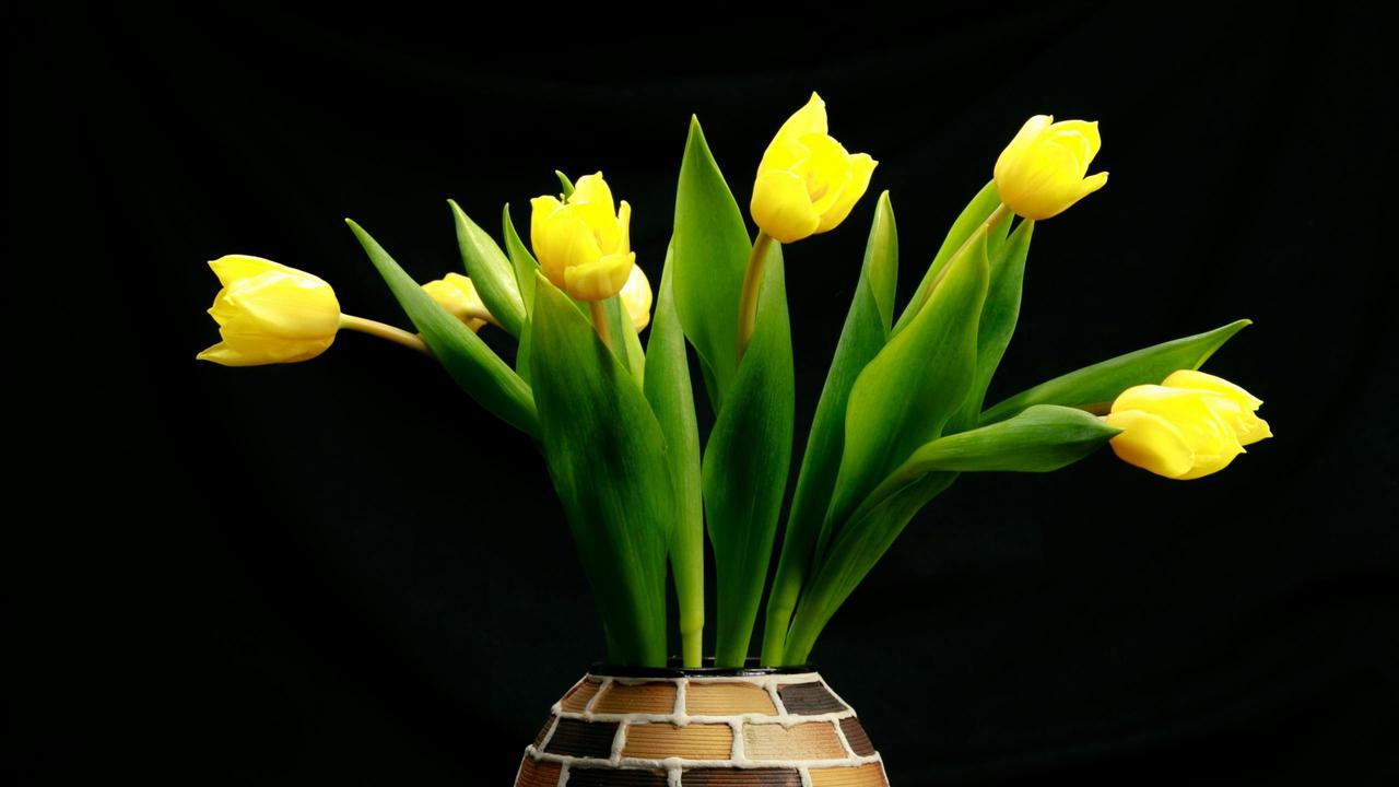 Cara Membuat Vas Bunga dari Kardus Bekas, Kreatif dan Ramah Lingkungan