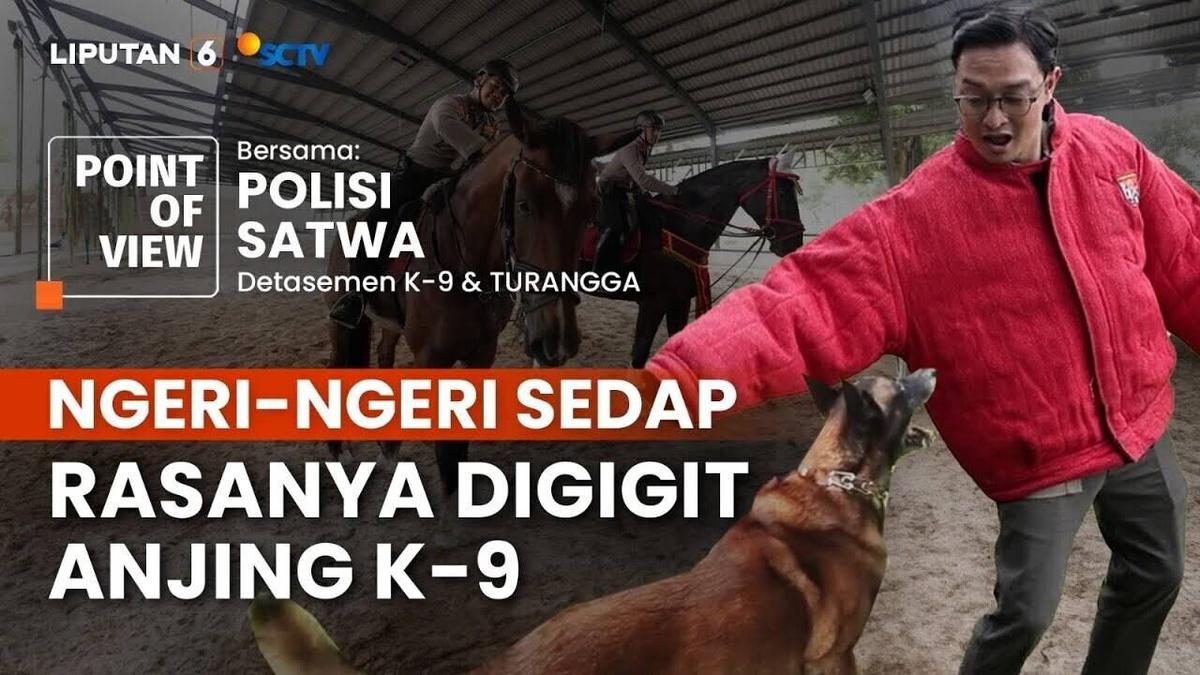 Rasanya Digigit Anjing K-9 & Naik Kuda Turangga Milik Direktorat Polisi ...
