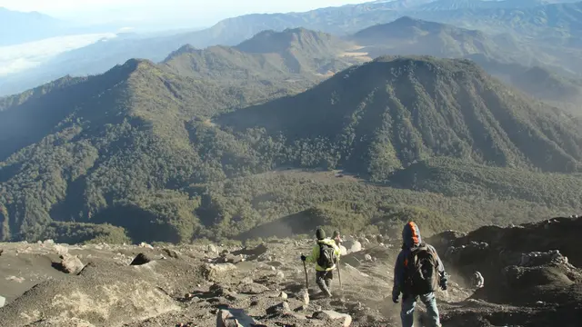Gunung Semeru yang Tak Pernah Tidur: Update Terbaru