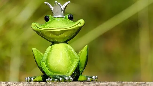 Kumpulan Kata-Kata Bijak Inspiratif tentang Katak, Penuh Pesan Positif ...