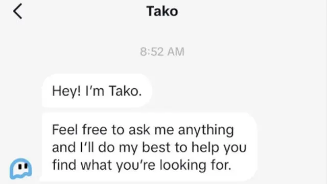 TikTok Uji Coba Chatbot AI Tako, Bisa Bantu Pengguna Temukan Konten Menarik