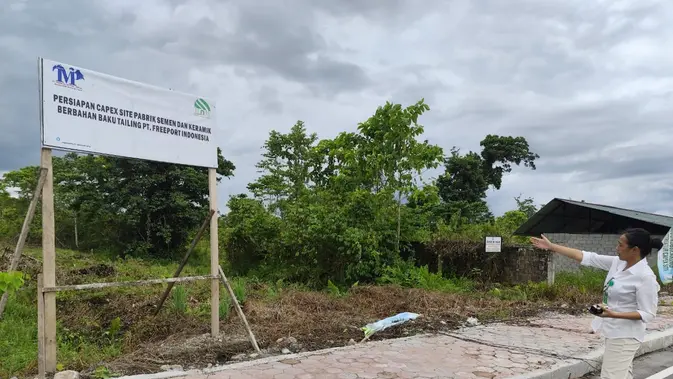 Tradisi Bakar Batu Awali Groundbreaking Pembangunan Pabrik Semen di Timika