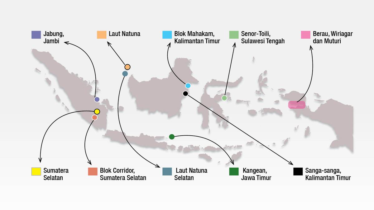 Mengintip Ladang Penghasil Gas Terbesar di Indonesia