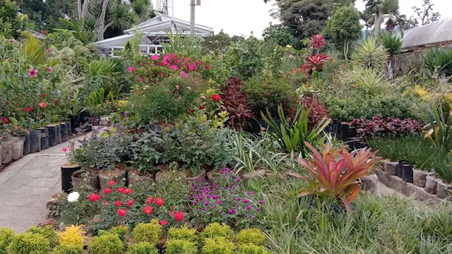 10 Tempat Wisata Taman Bunga di Bandung, Cocok untuk Libur Akhir Tahun 2025