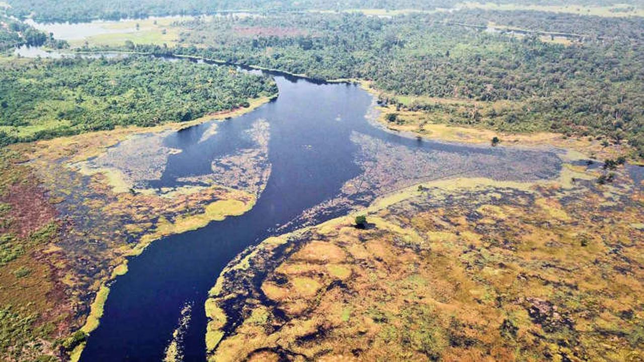 Ilmuwan Akhirnya Temukan Sungai Paling Gelap di Dunia, Nyaris Tanpa ...