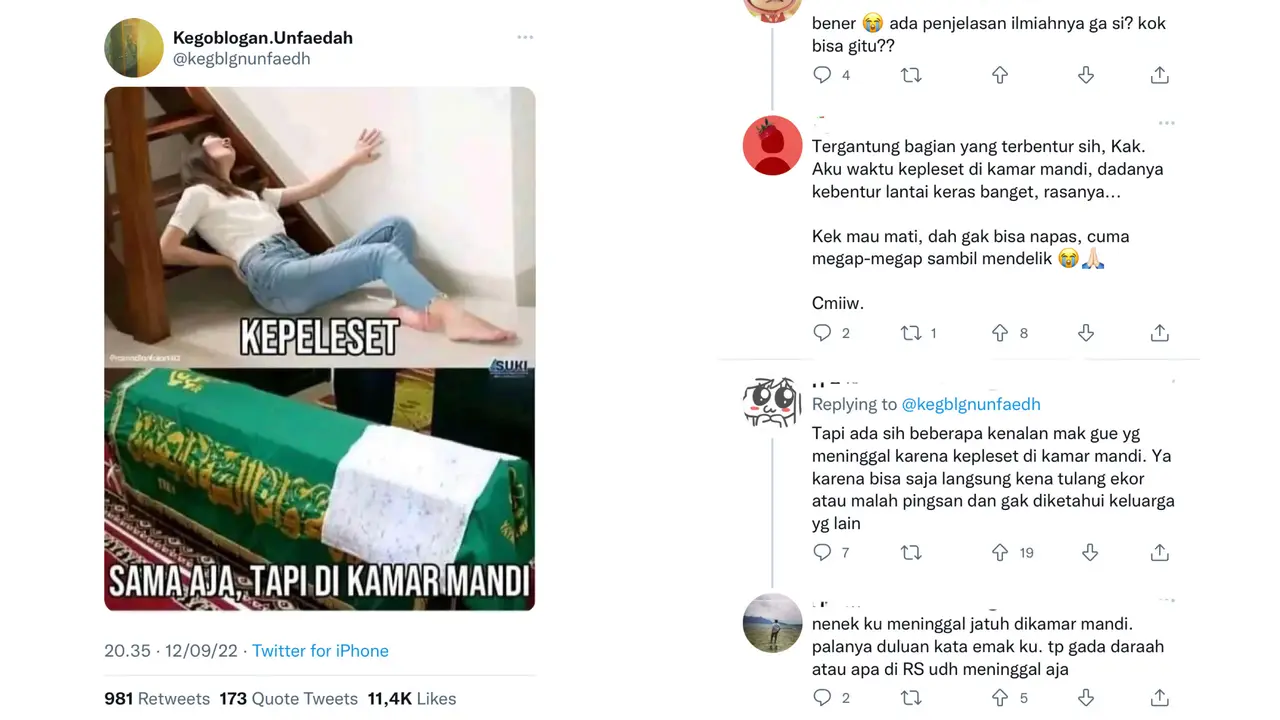 Meme Ini Jadi Pengingat Terpeleset di Kamar Mandi Bisa Fatal Hingga ...