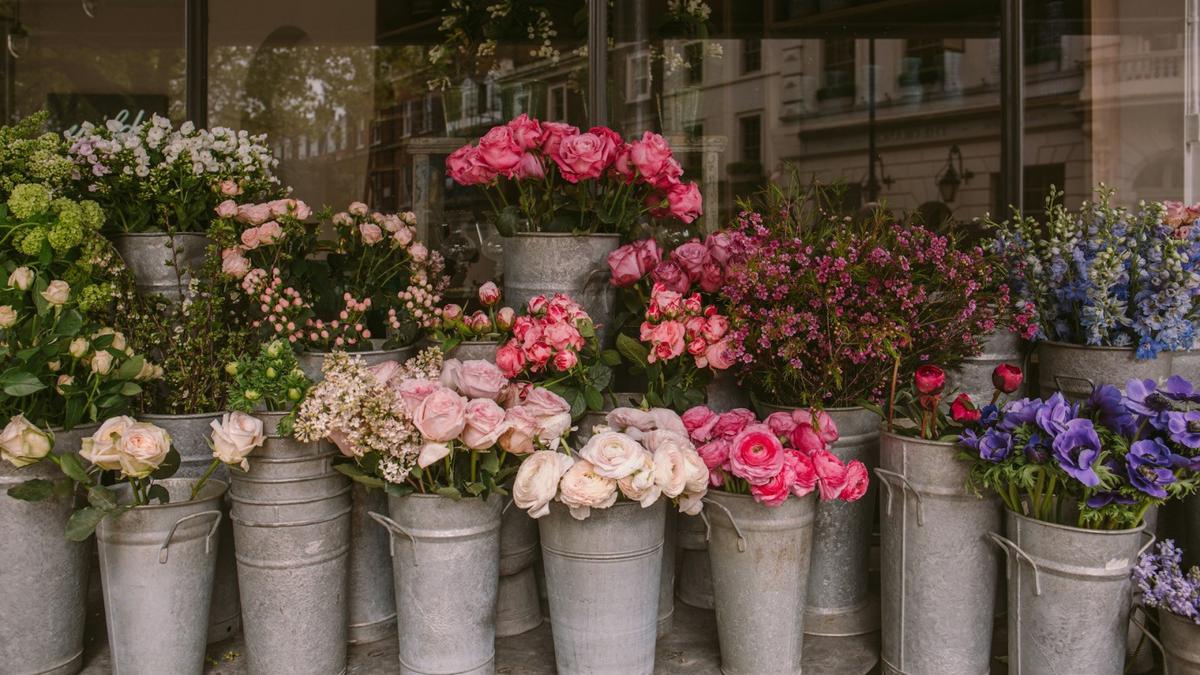 Macam-Macam Bunga yang Bisa Dikonsumsi