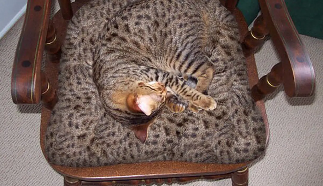 Sepertinya Binatang Ini Sedang Ngajak Petak Umpet - Photo Fimela.com