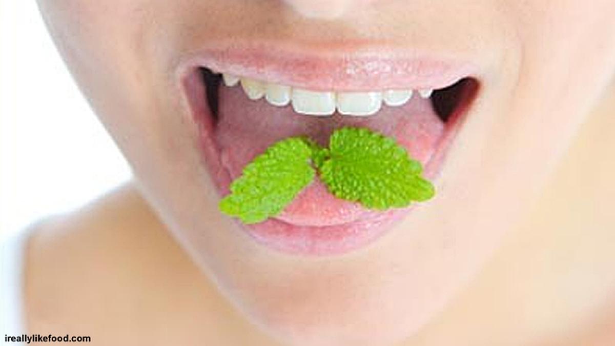 Aroma Mulut Bisa Lebih Bau Dibanding Anus - Health Liputan6.com