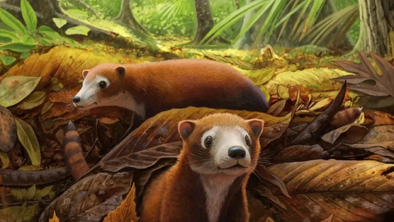 Penampakan Hewan Prasejarah Nenek Moyang Sapi, Mungil Seukuran Tikus ...