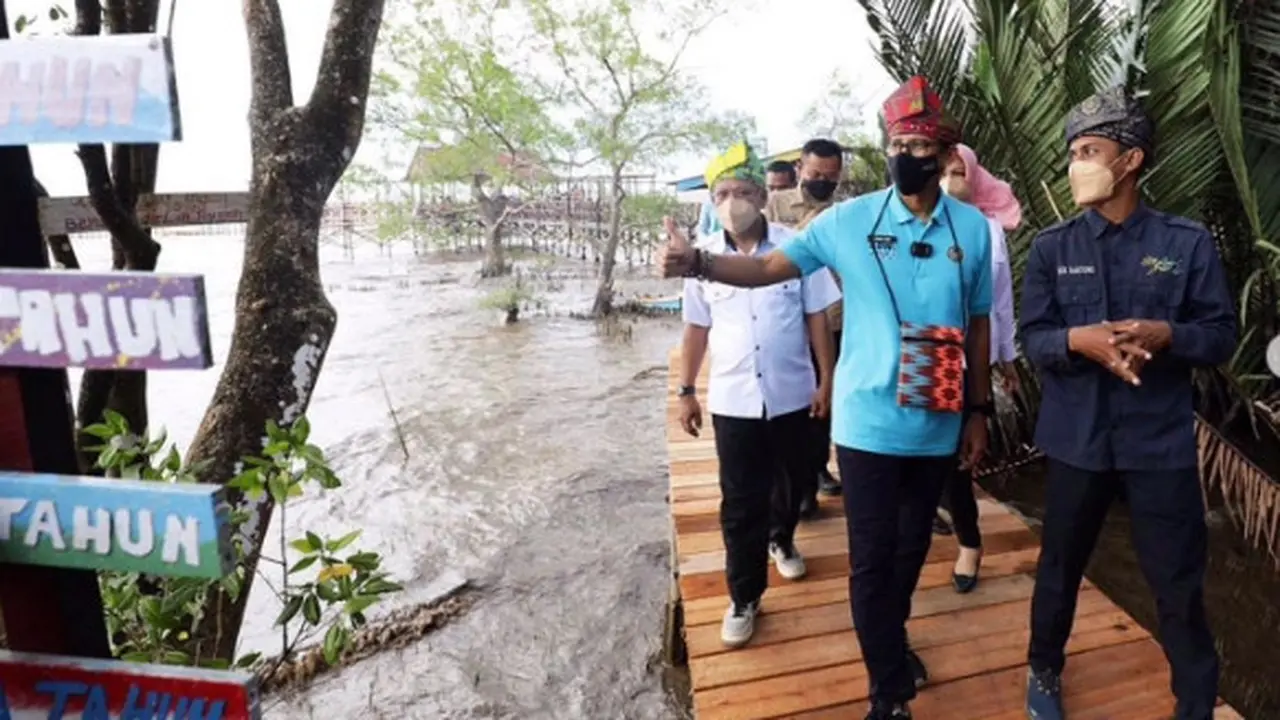 Jelajah Ekowisata Mangrove dan Main Kano di Desa Wisata Sungai Kupah ...