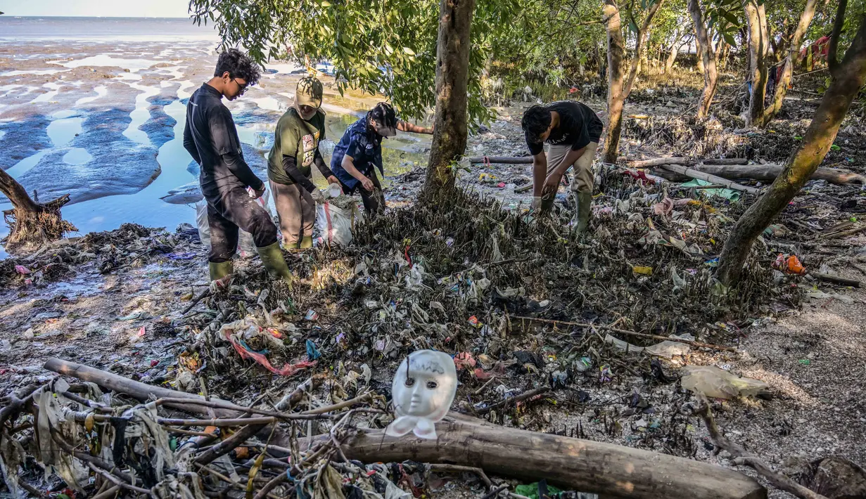 Peringati Hari Mangrove Sedunia, Sejumlah Relawan Bersih-bersih Rawa ...