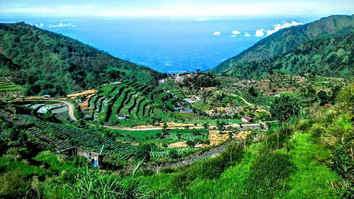 Dieng dan Penampakan Desa Tertinggi di Pulau Jawa - Lifestyle Fimela.com