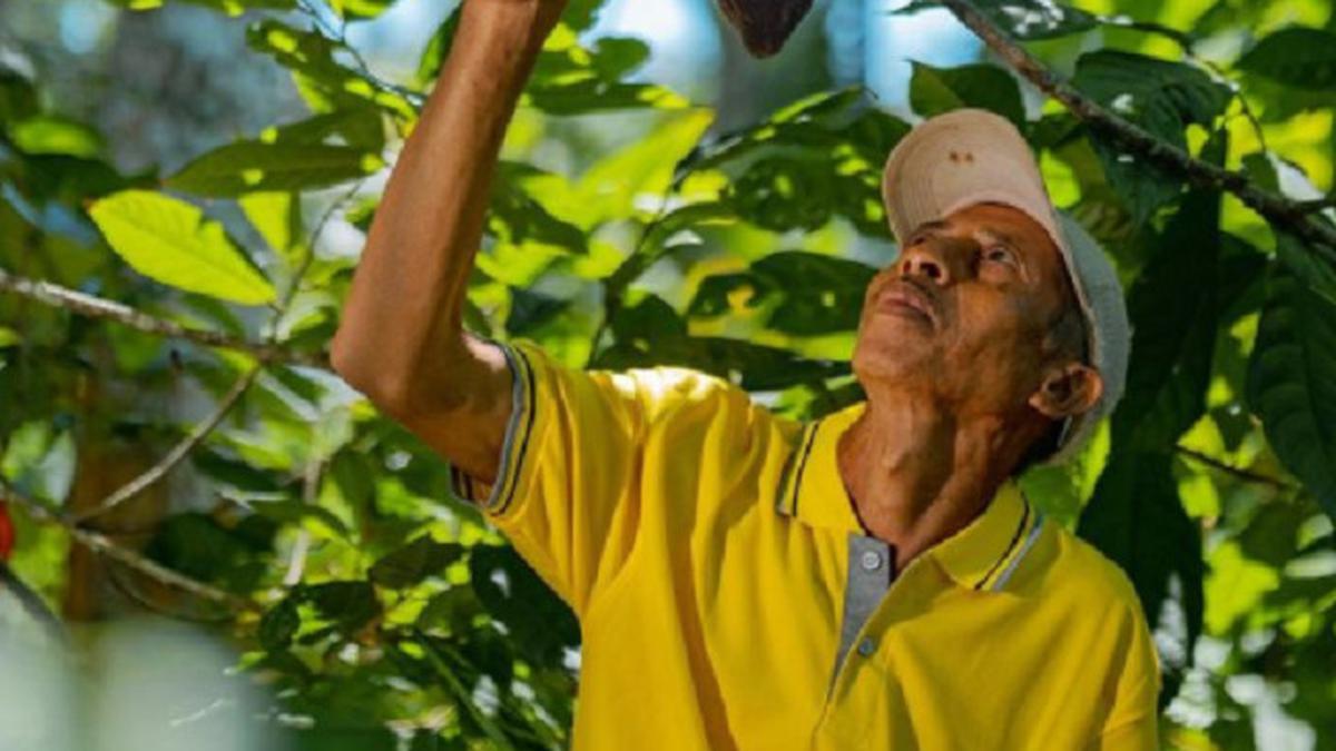 Mengenal Talasi, Upaya Menciptakan Produk Berkualitas dari Alam lewat ...