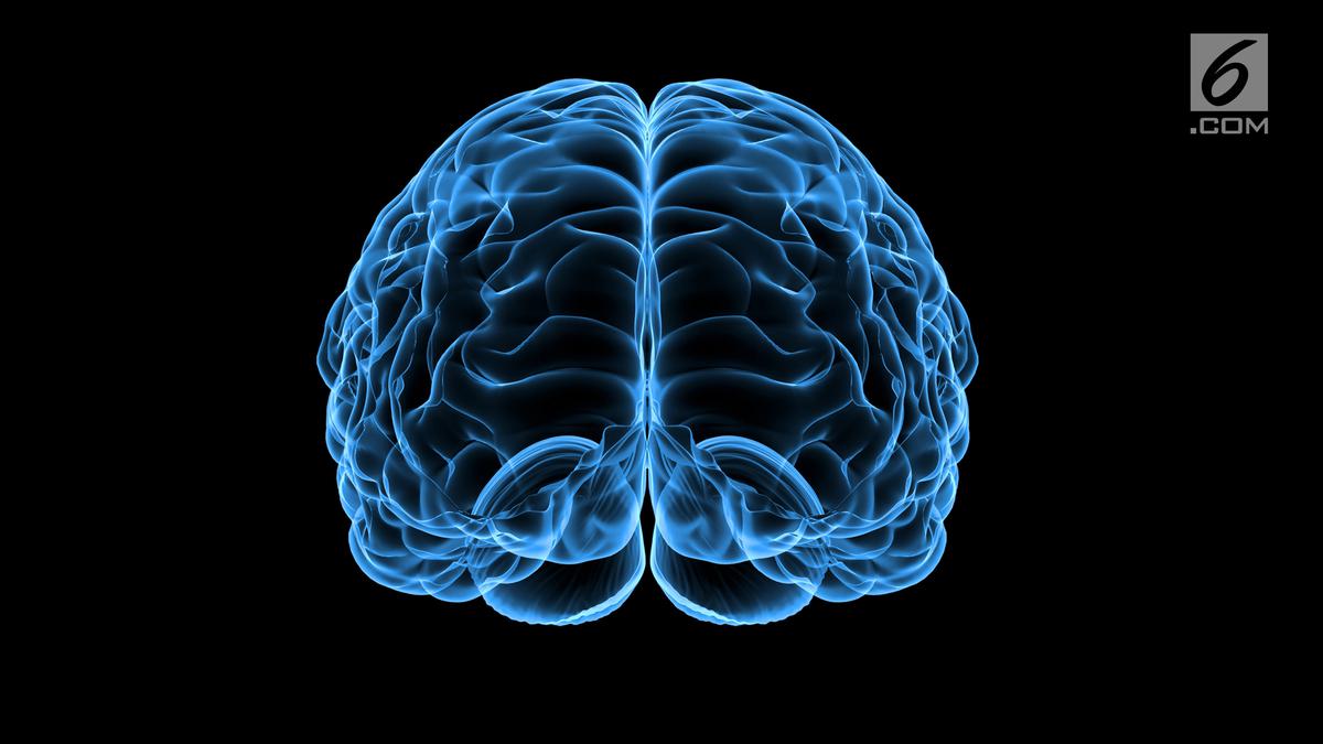 Saat Otak Bekerja Mengingat Sesuatu, Begini Prosesnya