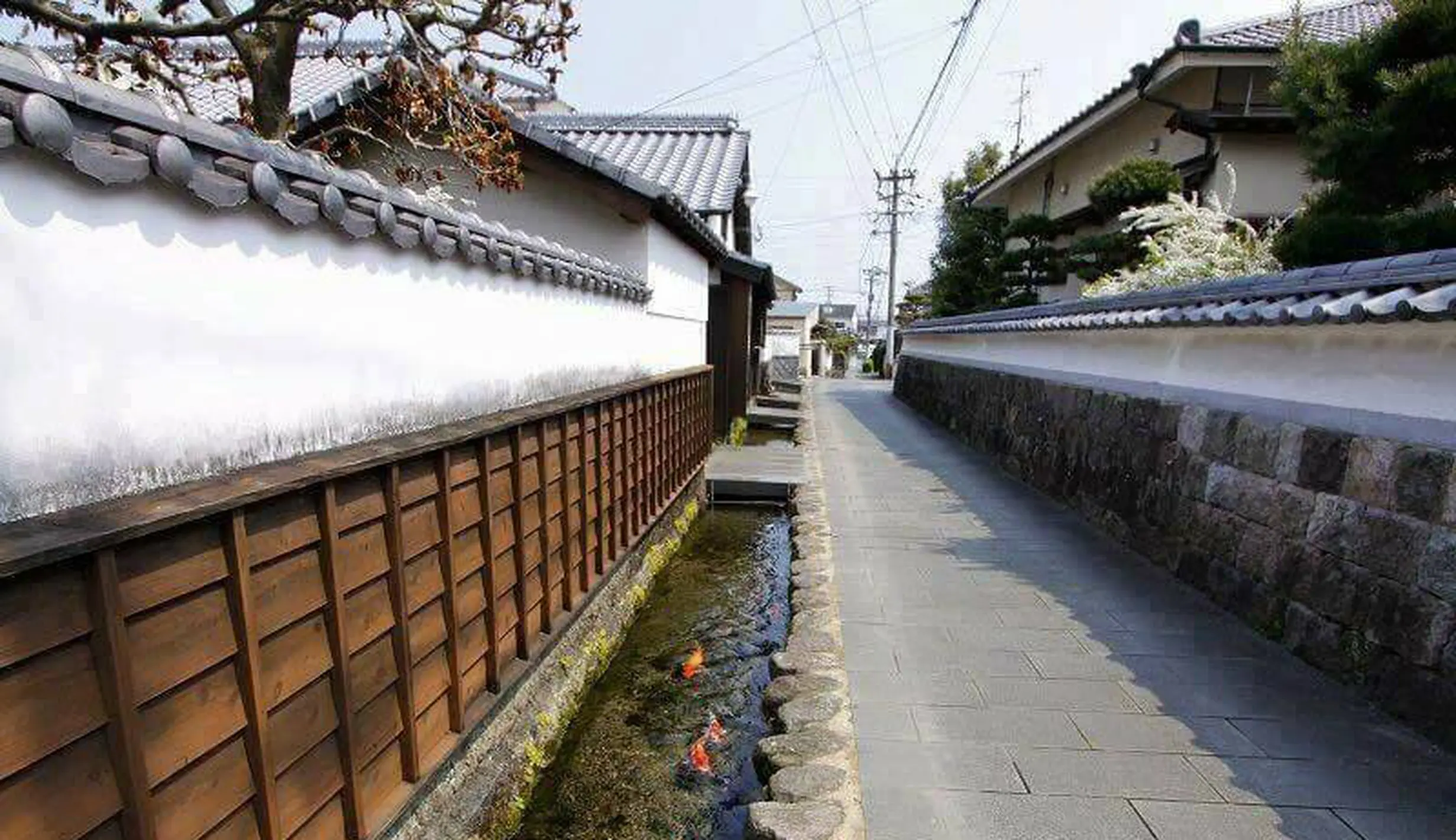Selokan di Jepang Dijadikan Kolam Ikan - Kreatif Ramah Lingkungan