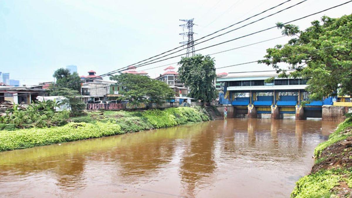 Naturalisasi Jadi Upaya Pemprov DKI Kembalikan Ekosistem Sungai Jakarta