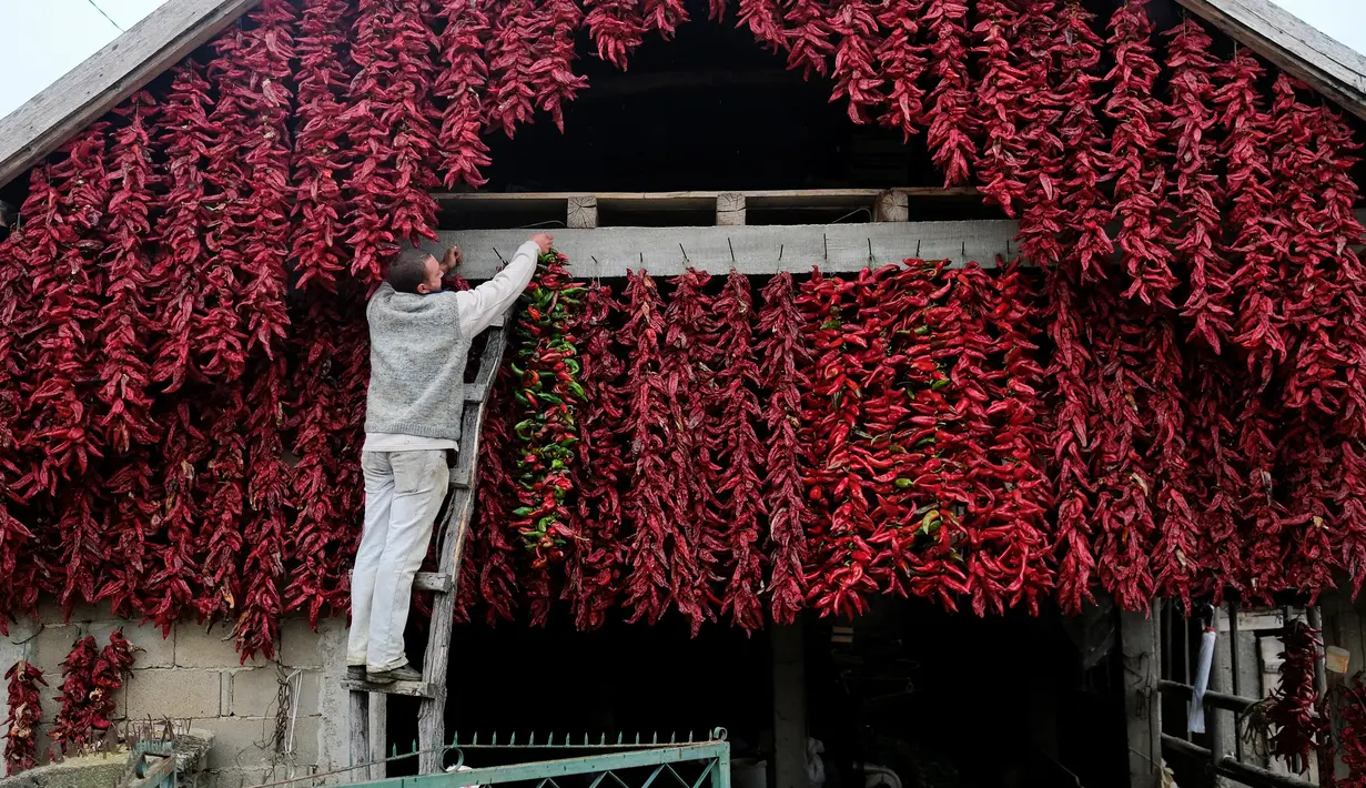 Kampung Merah, Desa di Serbia yang Rumah Warganya Berselimut Paprika ...