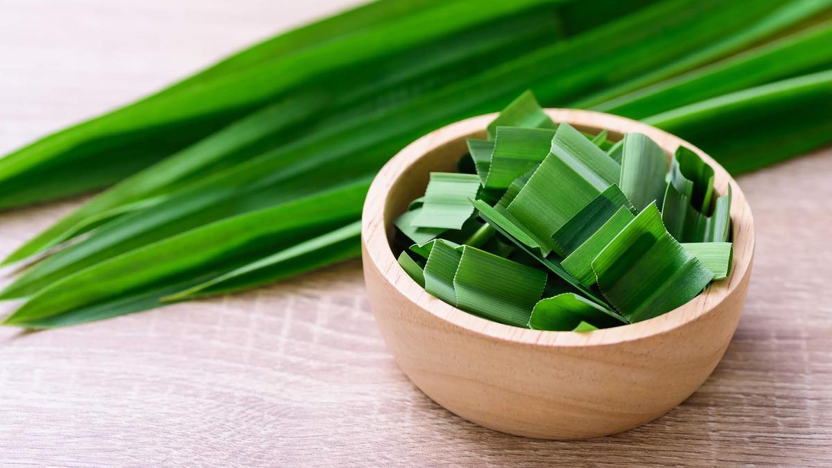 12 Manfaat Daun Pandan yang Penting Diketahui, Ampuh Turunkan ...