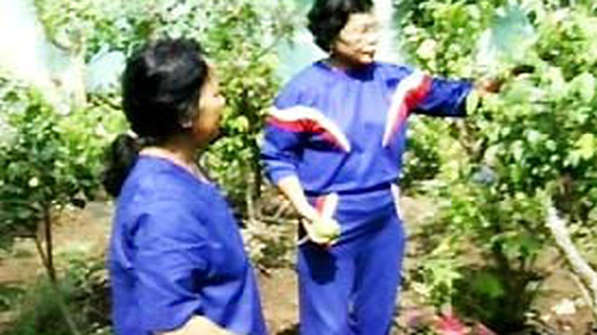 Giliran Sumiarsih Menanti Eksekusi Mati