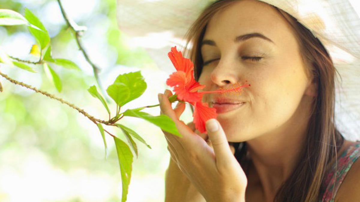 Pribadi 'Tertutup' Lebih Menyukai Bunga?