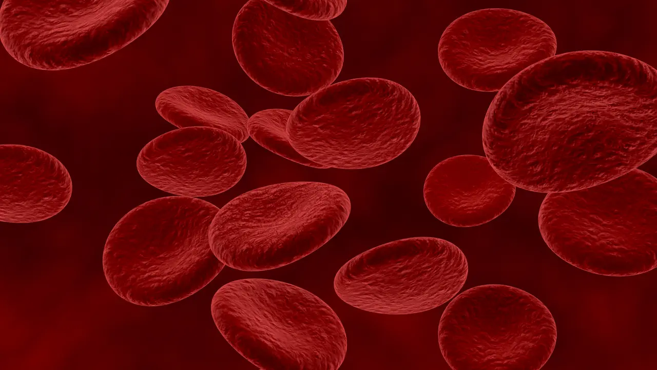 Apa Itu Hb? Pahami Kadar Hemoglobin dan Fungsinya dalam Darah - Hot ...