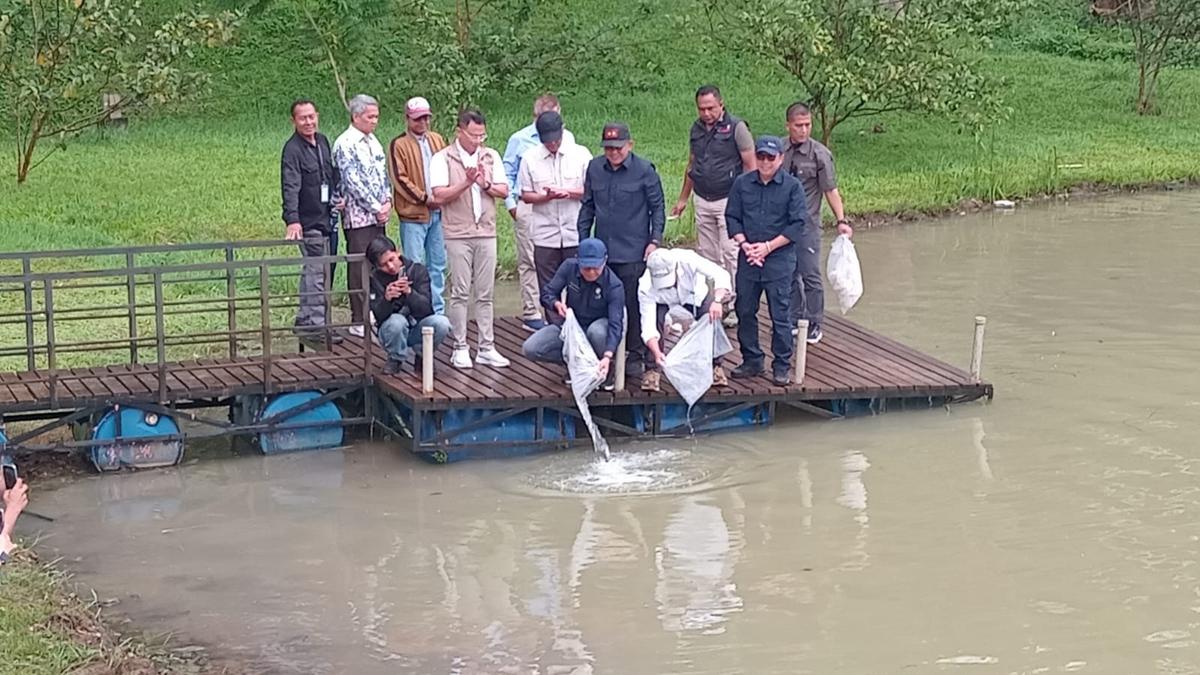 Disegel KLH, KEK Lido yang Didukung Donald Trump Jadi Sorotan Media ...