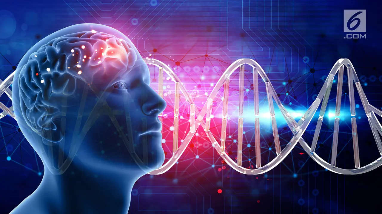 Mengenal Fungsi Otak dan Bagiannya yang Jarang Diketahui - Health ...