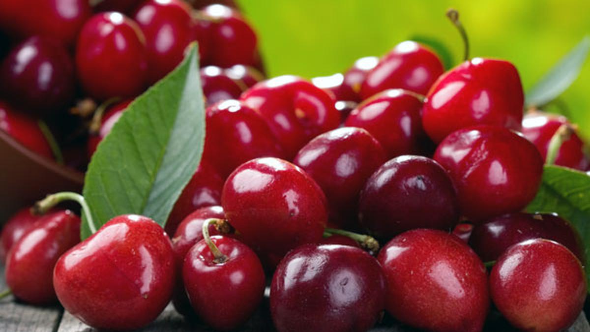 8 Manfaat Buah Ceri untuk Kesehatan, Tinggi Antioksidan - Hot Liputan6.com