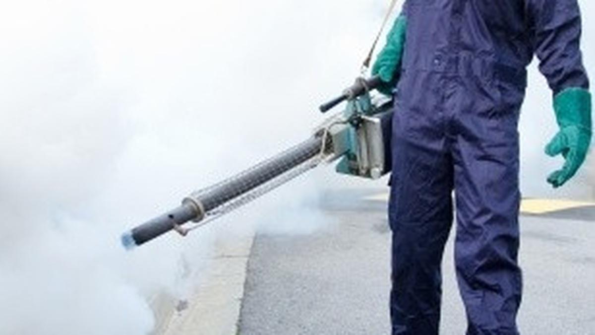 Fogging Benar-Benar Efektif Berantas Nyamuk DBD? - Health Liputan6.com