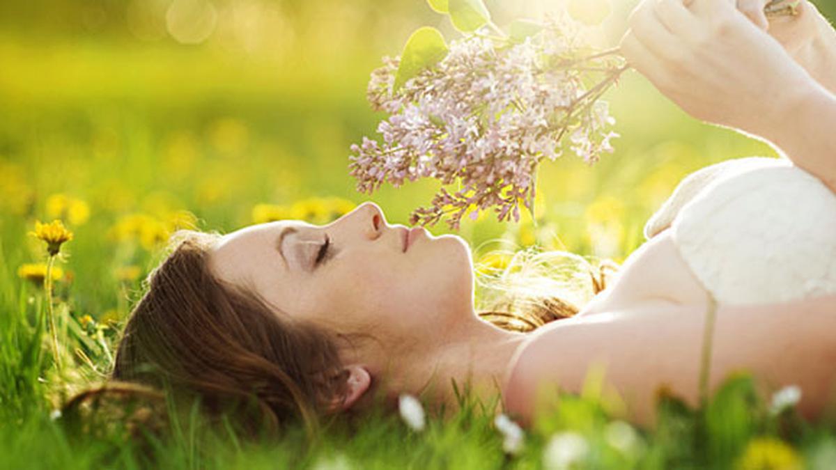 Menanam 4 Bunga Ini Di Rumah, Membuat Hidupmu Lebih Baik Lho!