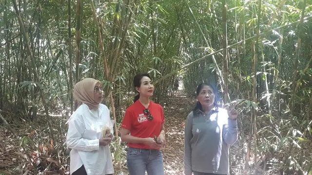 Cerita Peneliti dari Universitas Udayana, 39 Tahun Bergelut dengan ...