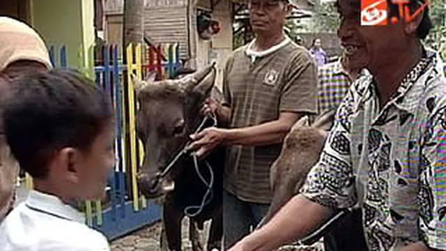 Melatih Anak Berkurban Sejak Dini - News Liputan6.com