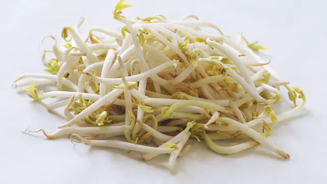 7 Cara Menyimpan Taoge Agar Awet dan Tetap Segar - Hot Liputan6.com