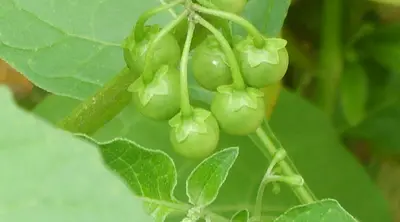 Bimo Bagas Basworo Timeline - me.liputan6.com