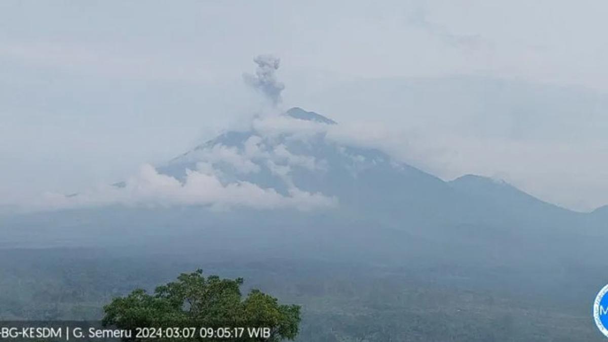 Semeru Kembali Erupsi, Tinggi Letusan Mencapai 1 Kilometer - Surabaya ...