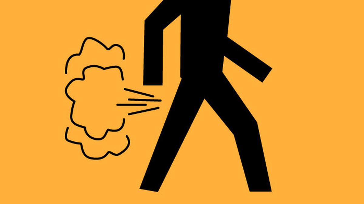 10 Fakta tentang Kentut, Unik dan Mengejutkan - Health Liputan6.com