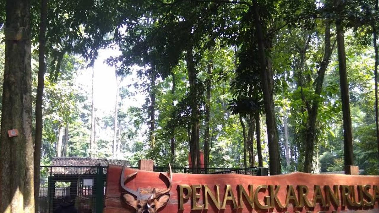 35 Tempat Wisata di Bogor yang Sejuk untuk Healing, Tiket Murah Liburan ...