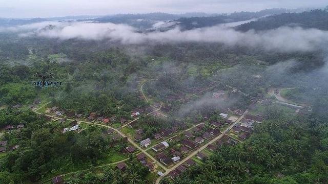 6 Fakta Menarik Kepulauan Mentawai, Pemilik Tato Tertua di Dunia dan ...