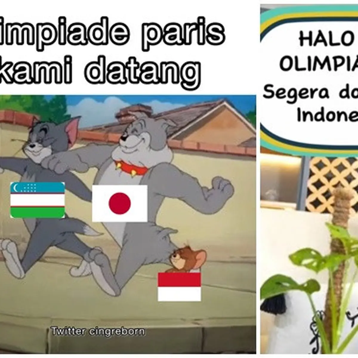 Memes Atlet Indonesia