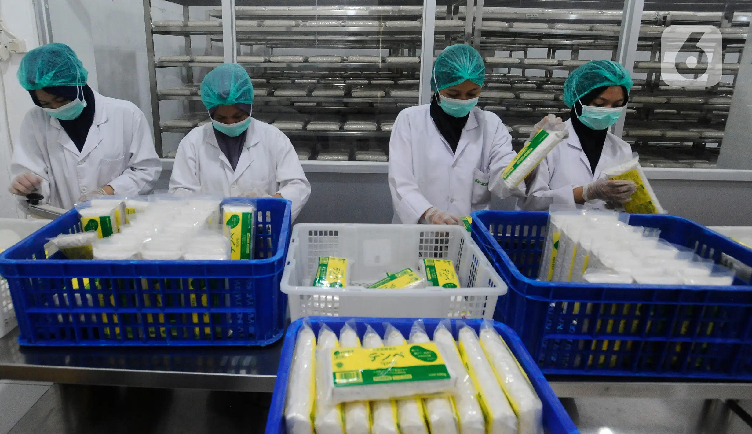 Aktivitas Pabrik Tempe Terbesar di Dunia untuk Ekspor - Foto Liputan6.com