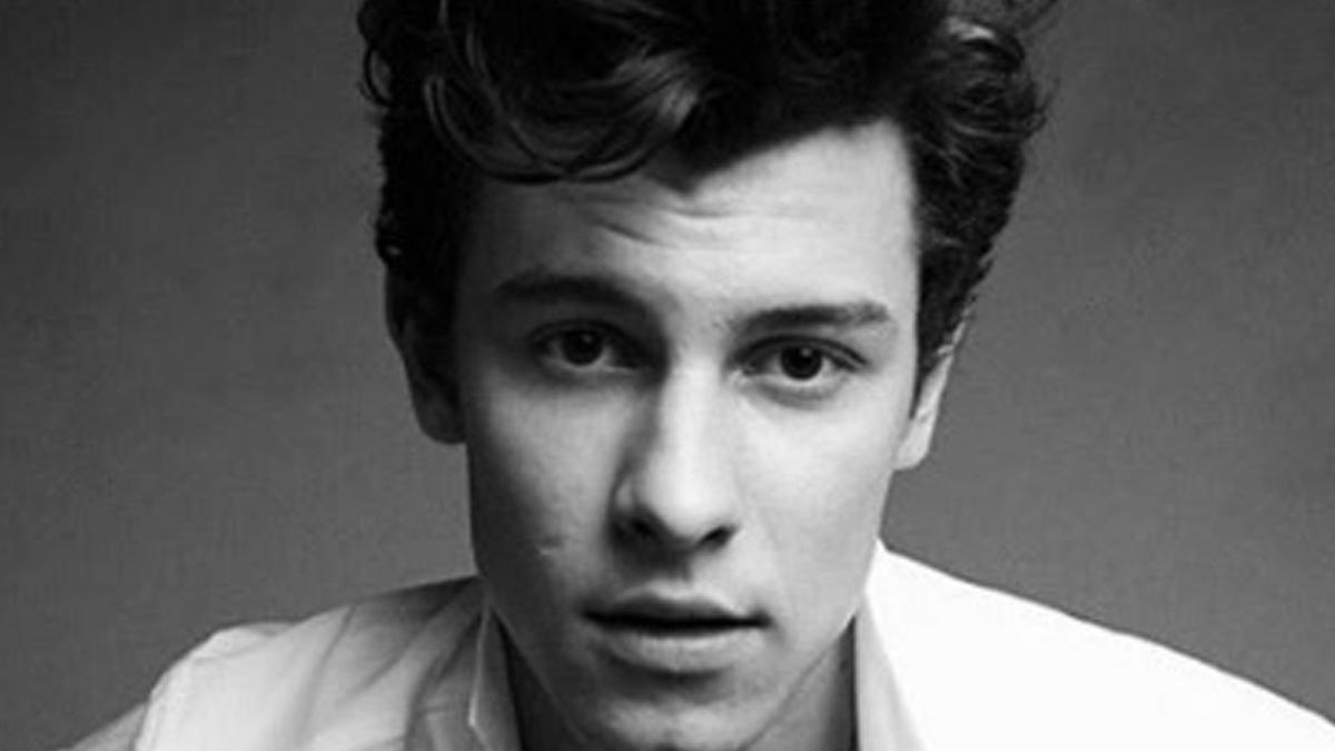 Lirik Lagu Stitches - Shawn Mendes