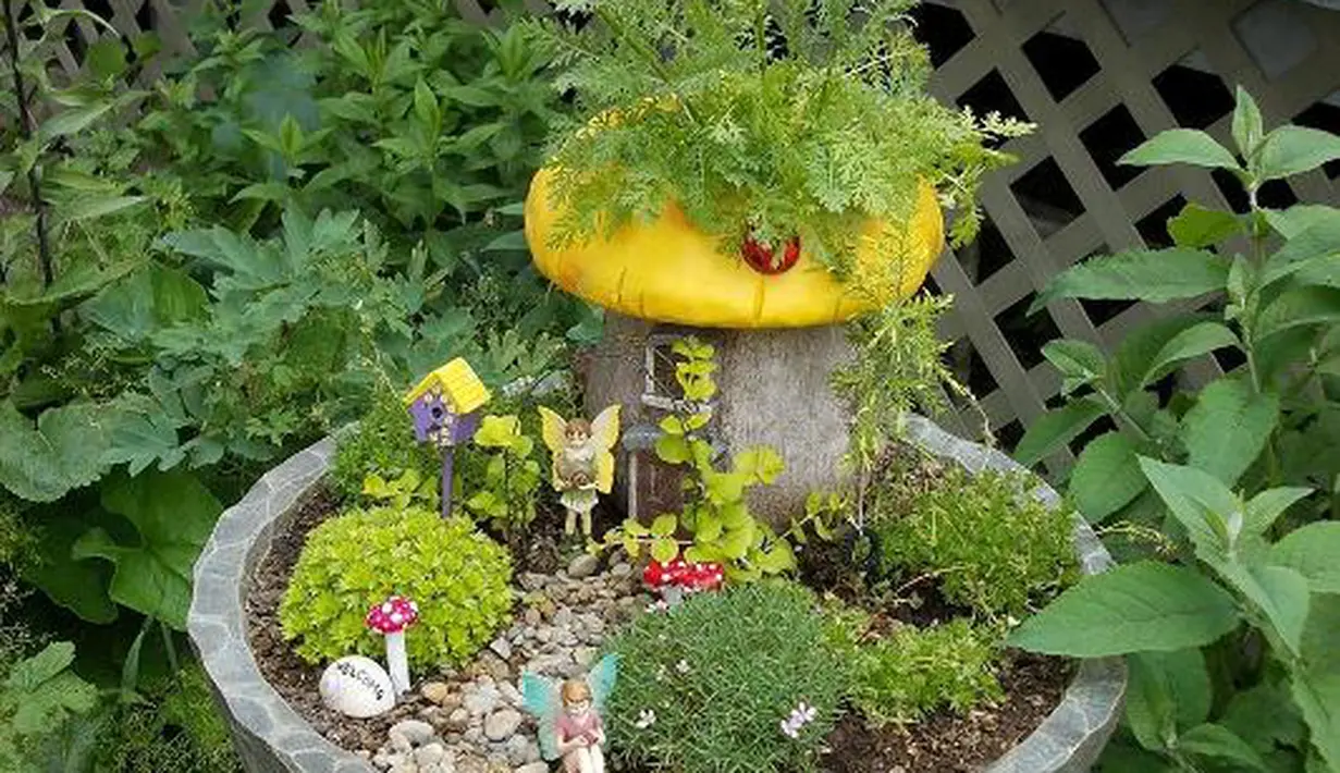 8 Ide Unik Buat Miniatur Taman Indoor Yang Tak Makan Tempat