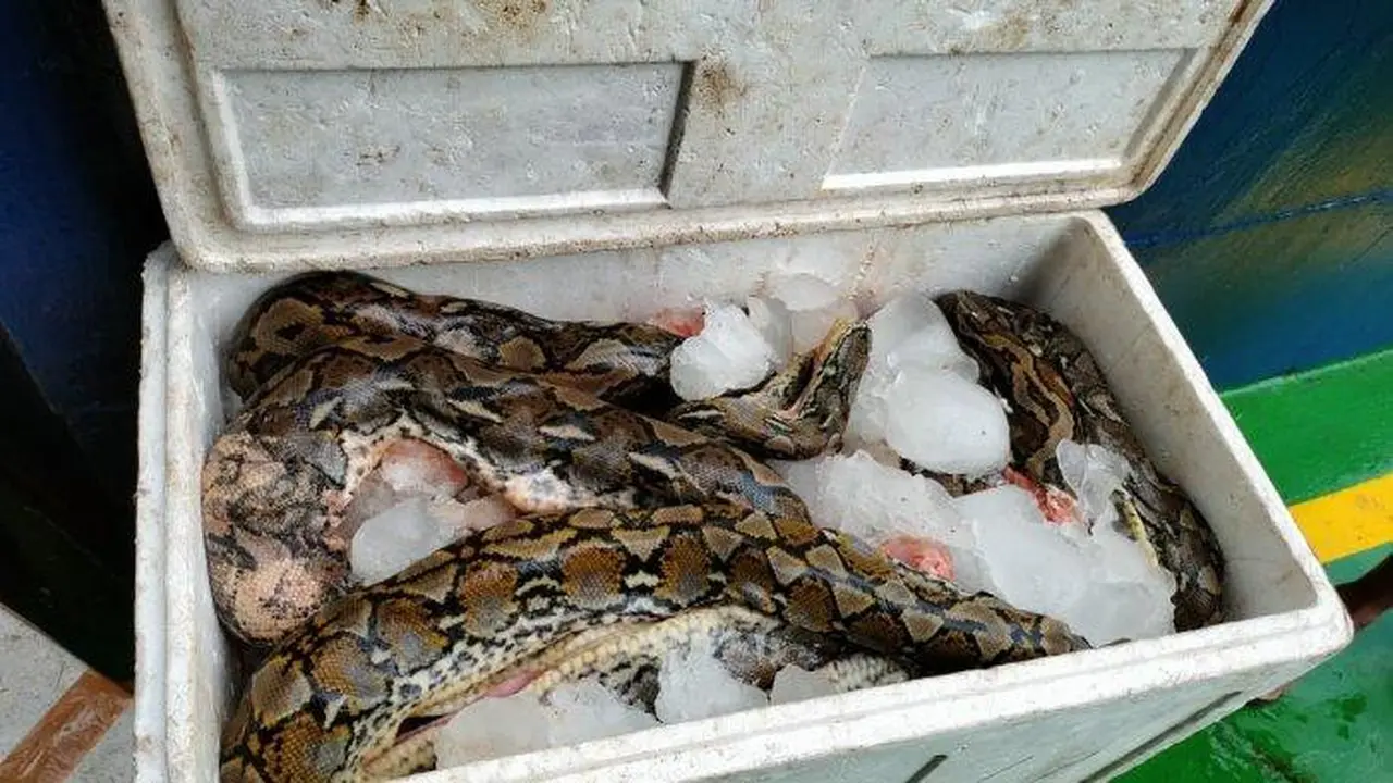 Sajikan Cita Rasa Lokal, Pizza Hut Hong Kong Luncurkan Menu dengan ...