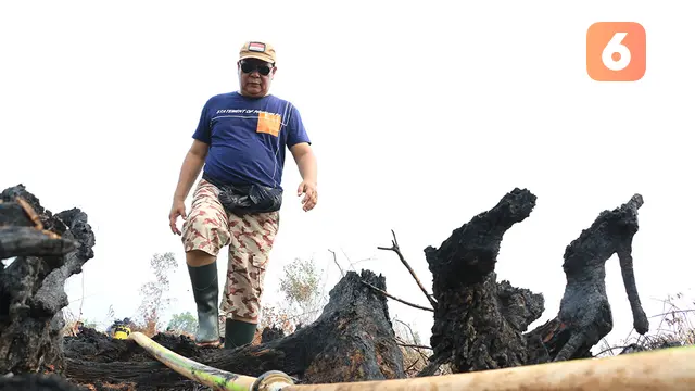 7 Fakta Terkait Kasus Dugaan Suap Gubernur Kalsel Sahbirin Noor, Kini ...