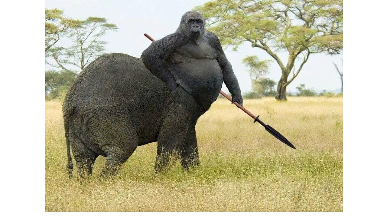 6 Editan Foto Gajah dengan Hewan Lain Ini Absurd, Bikin Ngakak - Hot ...