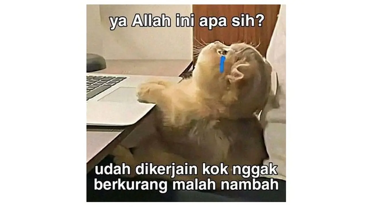 10 Meme Lika-Liku saat Jadi Mahasiswa Ini Relate Banget - Hot Liputan6.com