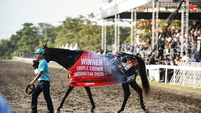Kuda King Argentin Raih Gelar Triple Crown Indonesia, Akhiri Penantian ...